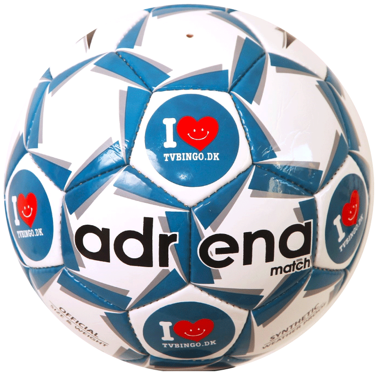 Pro Series footballs FIFA standard