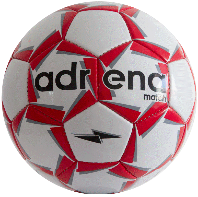 Pro Series footballs FIFA standard